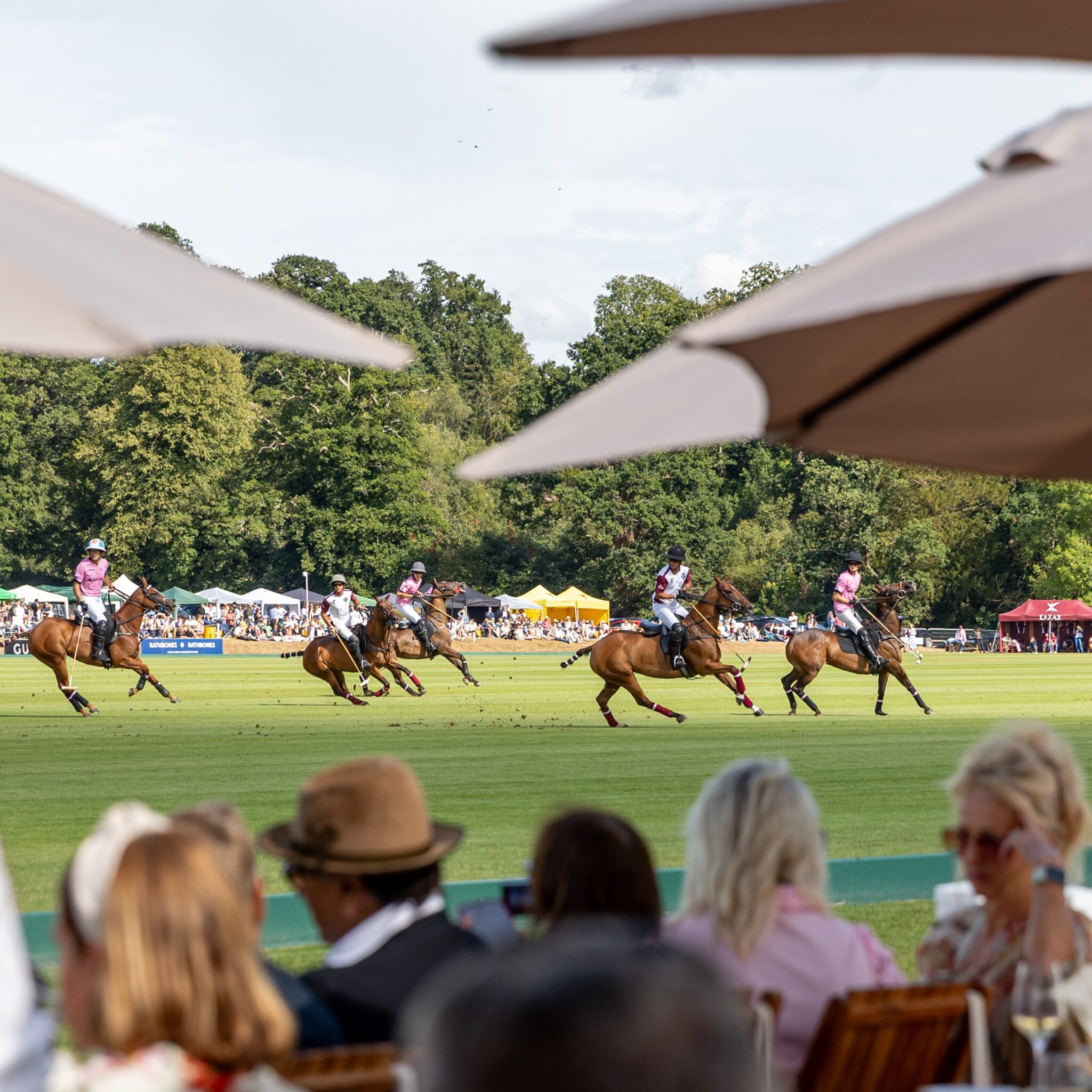 Cowdray Park Polo Club - The Home of British Polo, West Sussex