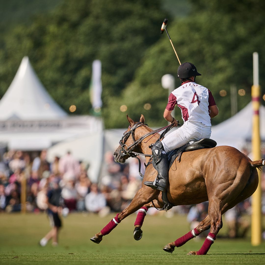 Cowdray Park Polo Club - The Home of British Polo, West Sussex